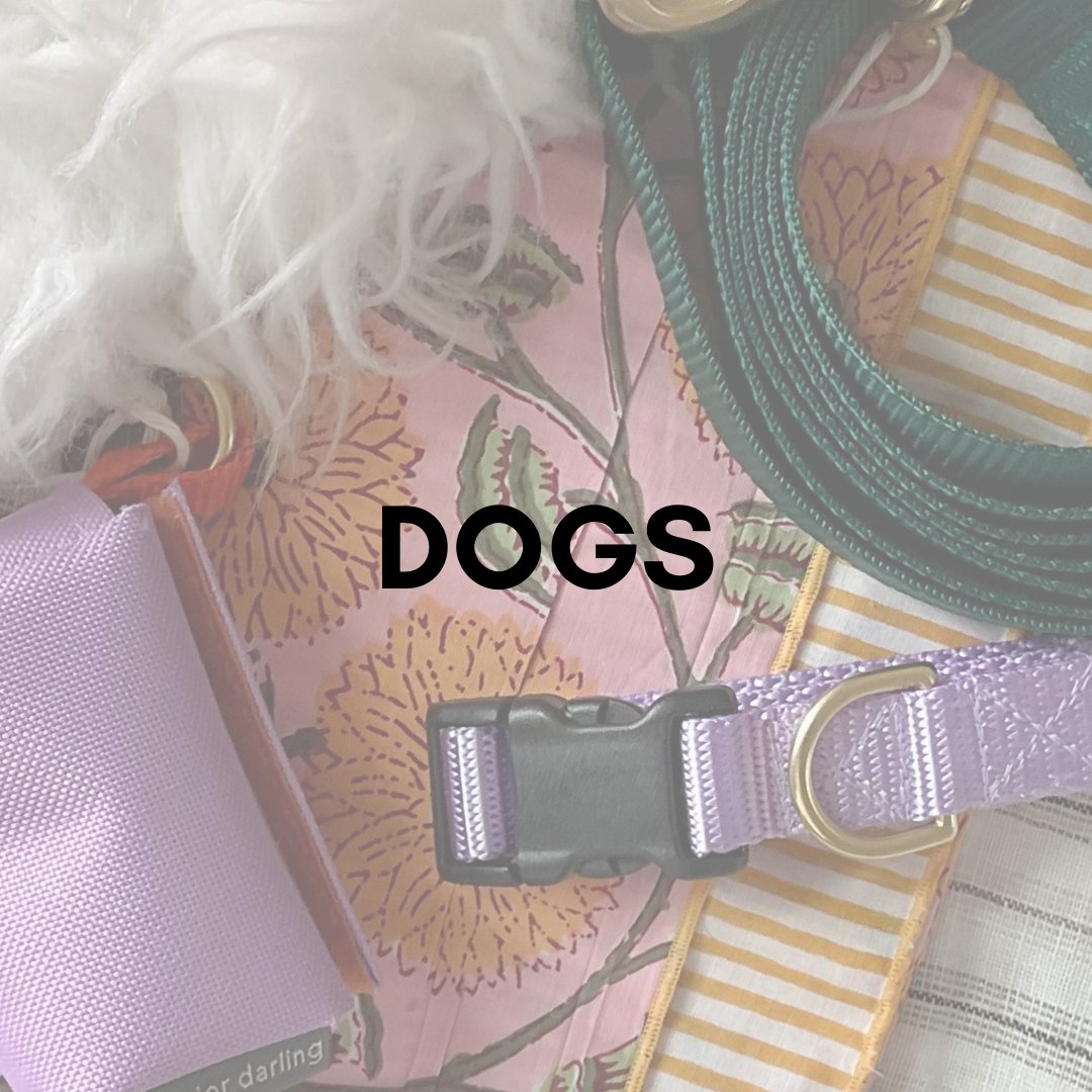 For Dogs - CornChip Dog Collective
